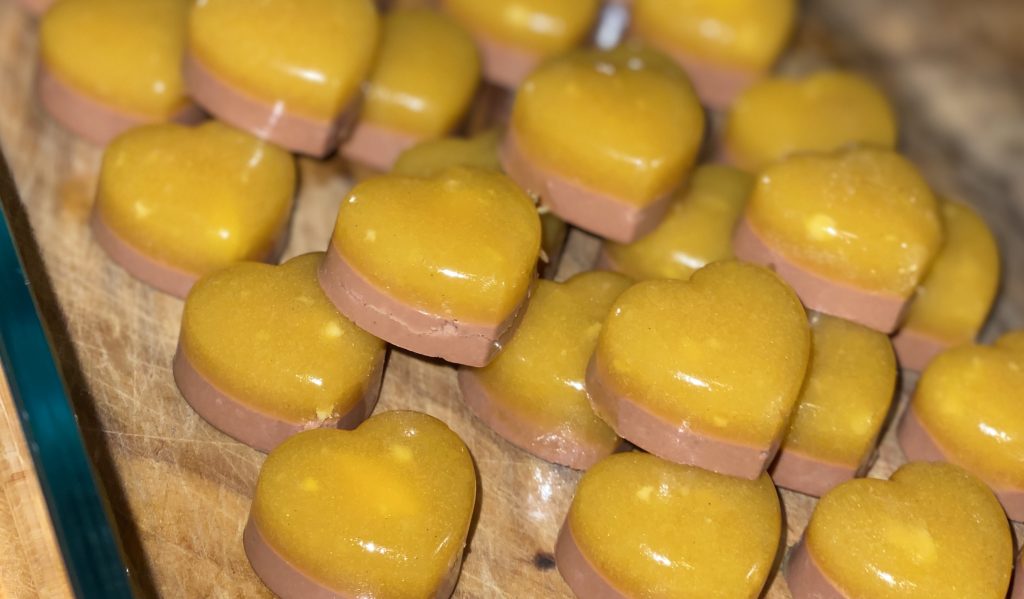 Mango/Berry and Chocolate Cream Gummies Recipe – Jivita.com.au